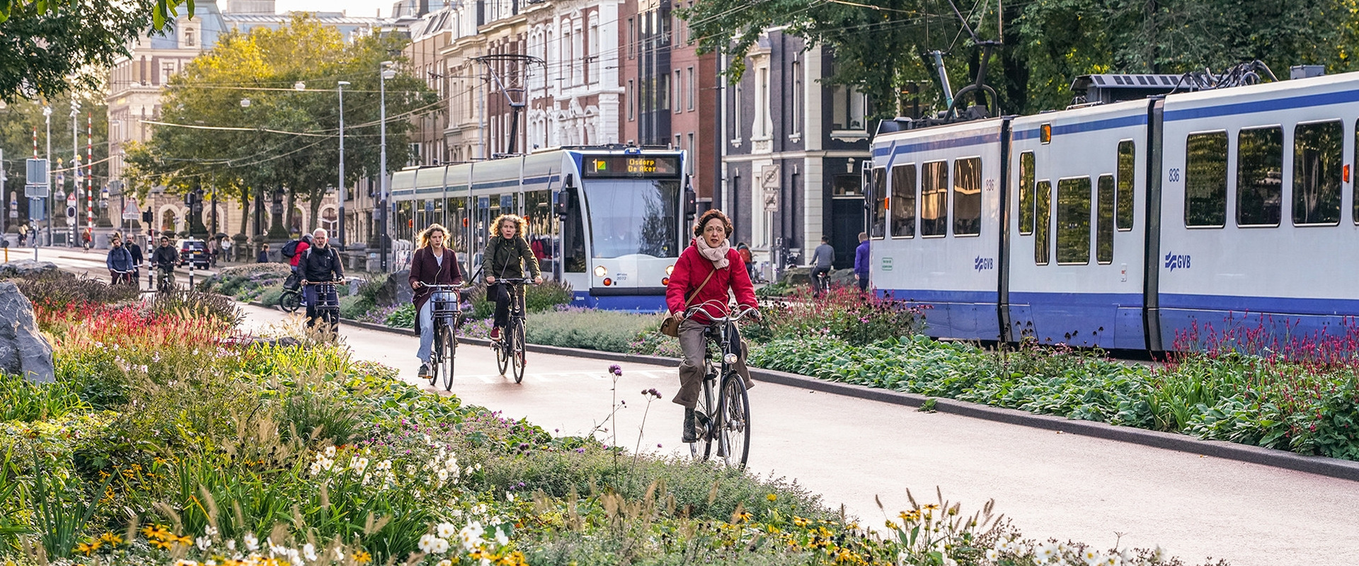 Visie op ontwikkeling metropool Amsterdam - Strootman
